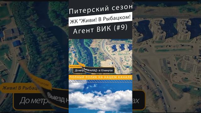 Живи! В Рыбацком. Питерский сезон - Агент ВИК (#9)