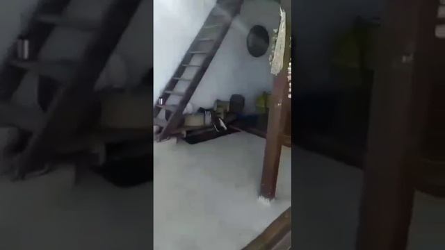 даргинская песня