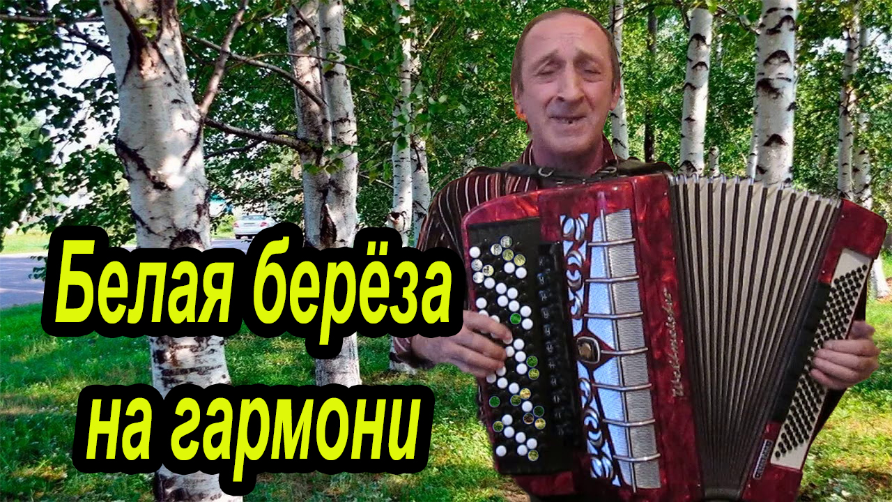Белая береза на гармони