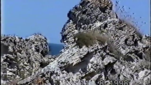 Летние экспедиции клуба Лицей Просветления  в режиме голодания Терешка и в режиме изобилия Крым..