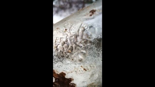 Это точно последний коп в 2023 г. Бутыль. 1 серия. (1)