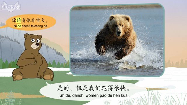 КИТАЙСКИЙ (Гризли - 灰熊) A1-29