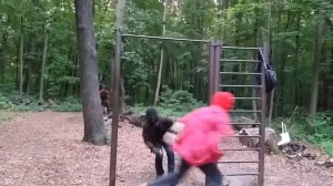 Спорт в лесу не всегда полезен для здоровья