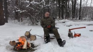 Короеды и другие стволовые вредители. Часть 1.