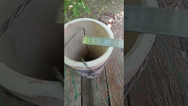 муфельная печь _ начало