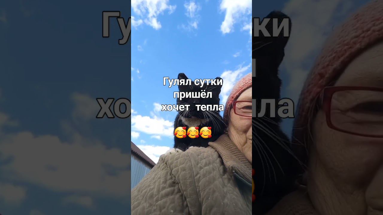 Сэм соскучился