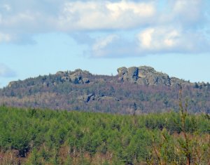 Классификация. 18.05.24г