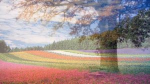Релакс природа музыка для души
