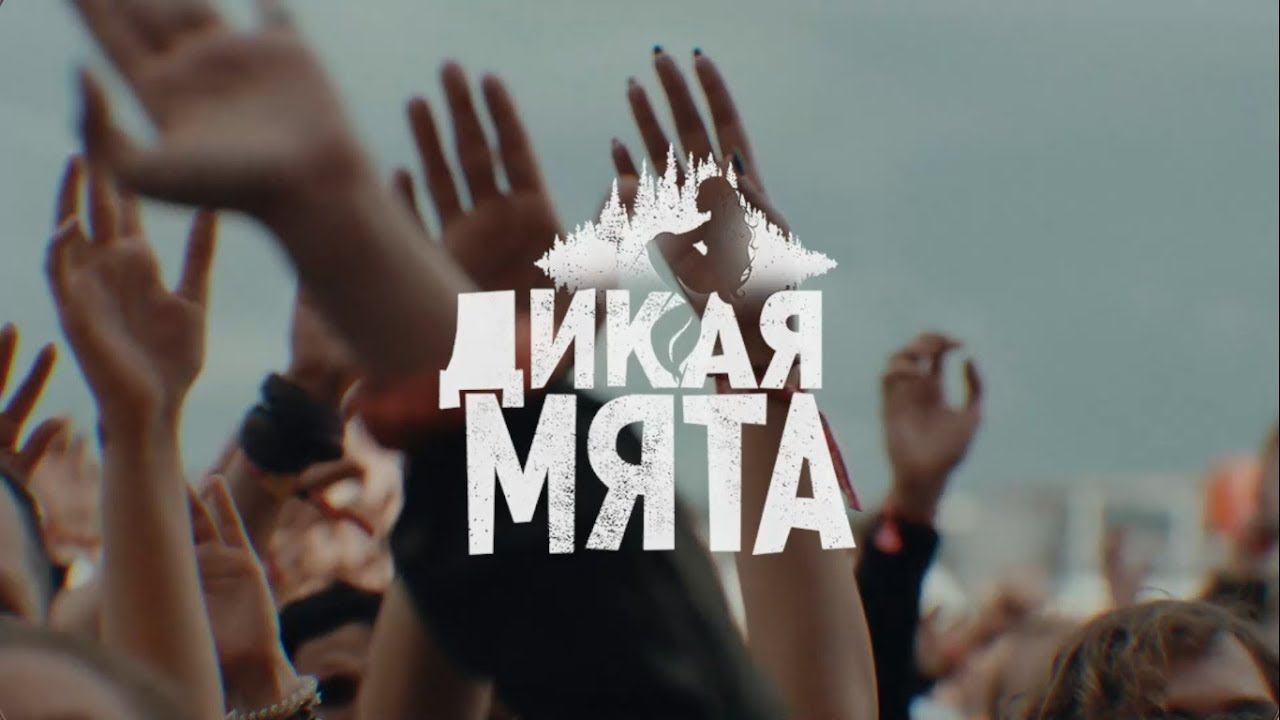 Дикая Мята 2019 – День третий