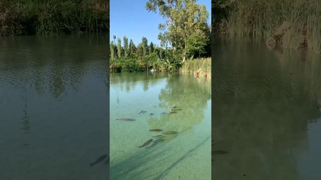 Парк с рыбками в Турции.mp4
