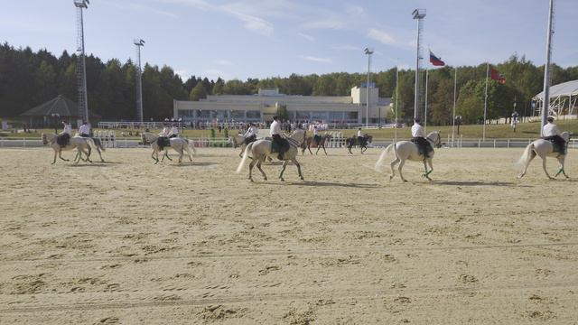 Котильон МВД
