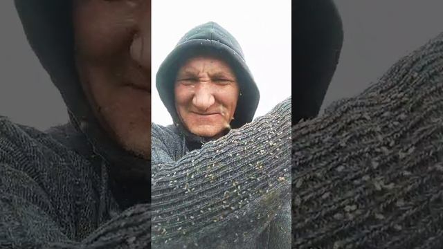 Тундра