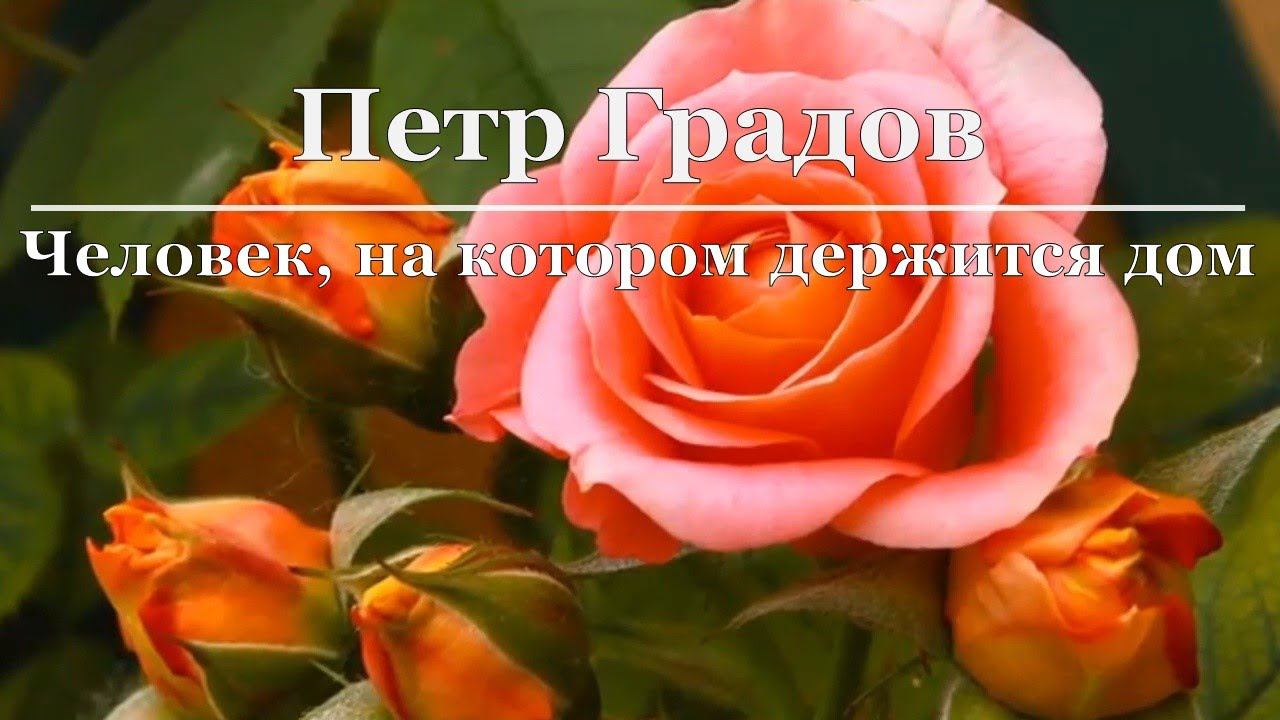 Петр Градов - Человек, на котором держится дом