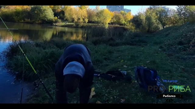 Pro-Риба | #Рыбалка осенью