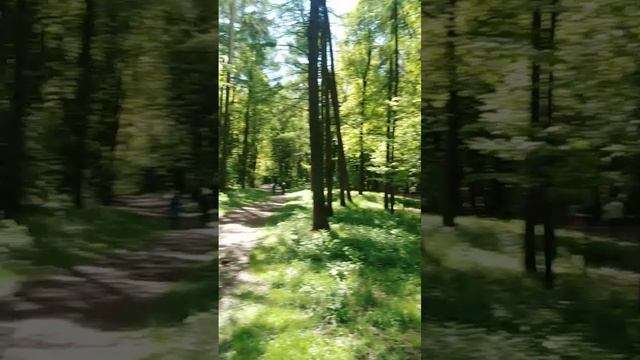 прогулка по парку
