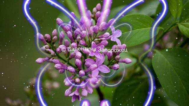 Фон для монтажа видео 30.mp4