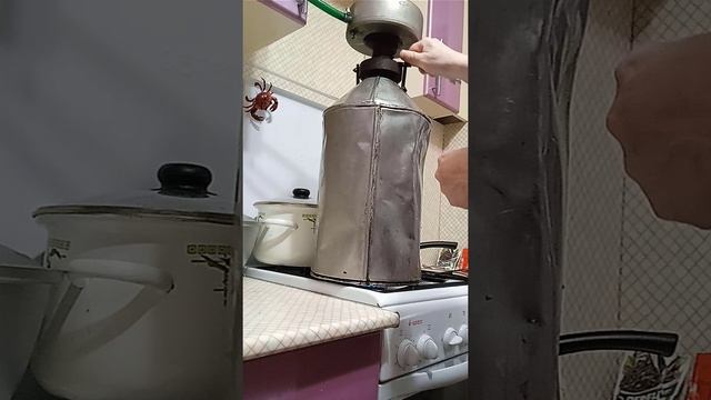 Самогон под новый год, чтоб угостить дракона