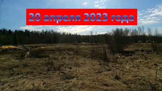 2023 год. Нашел бонус - бронзовый кран