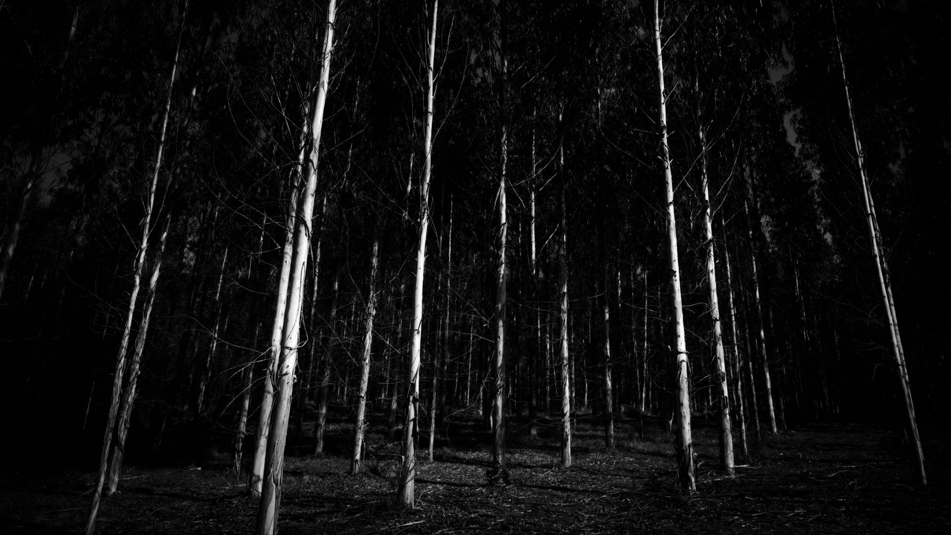 1409 beats - Phobia Underground Boom Bap Beat Rap Минус Hip Hop Instrumental #beat  #underground