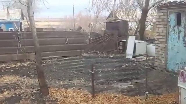 Сделали будку Алмазу?