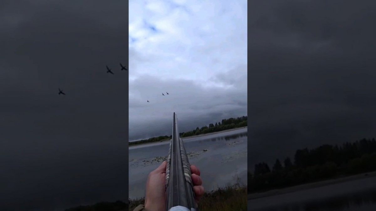 С Охоты На рыбалку на RUTUBE: 157 видео – смотреть онлайн и бесплатно ...