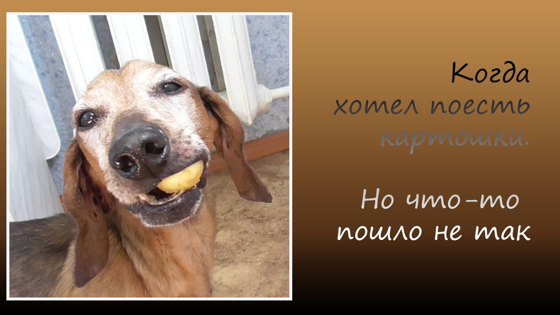 Просто хотел поесть картошки....mp4