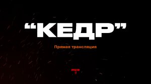 ПРЯМОЙ ЭФИР задаем вопросы, гость "КЕДР" #интервь #кедр #operator13 #стрим обрезан