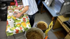 изготовление грибных блоков по стерильной технологии