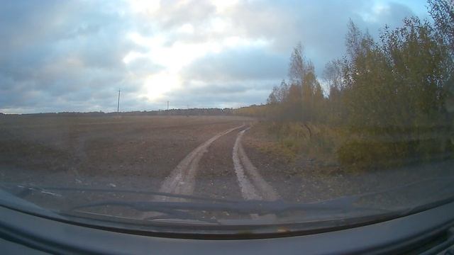 Проект дикая Надя.  день 1.