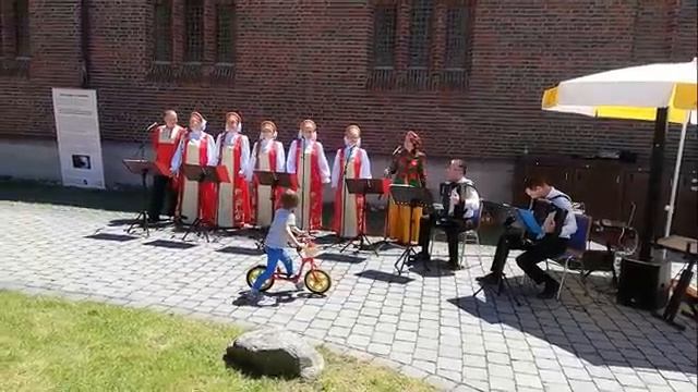 Утушка луговая