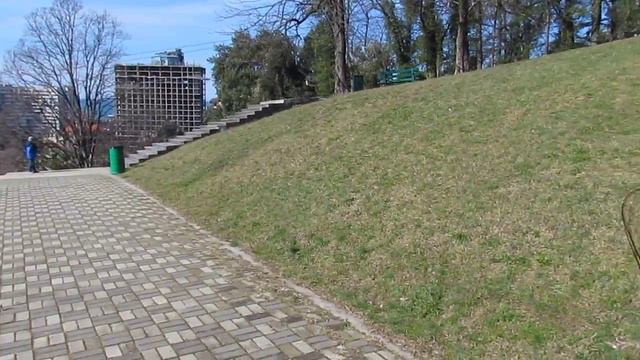 В дендрарии