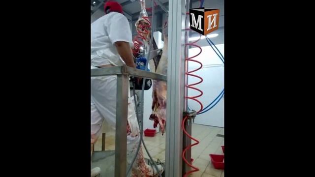 Площадка подъемно-опускная пневматическая ФПО-2