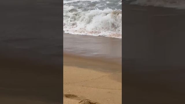 Температура на Шри-Ланке 28 градусов в январе 2024, вода теплая, но Индийский океан немного грязный