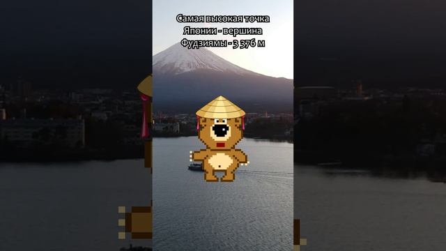 Мишка и Фудзияма