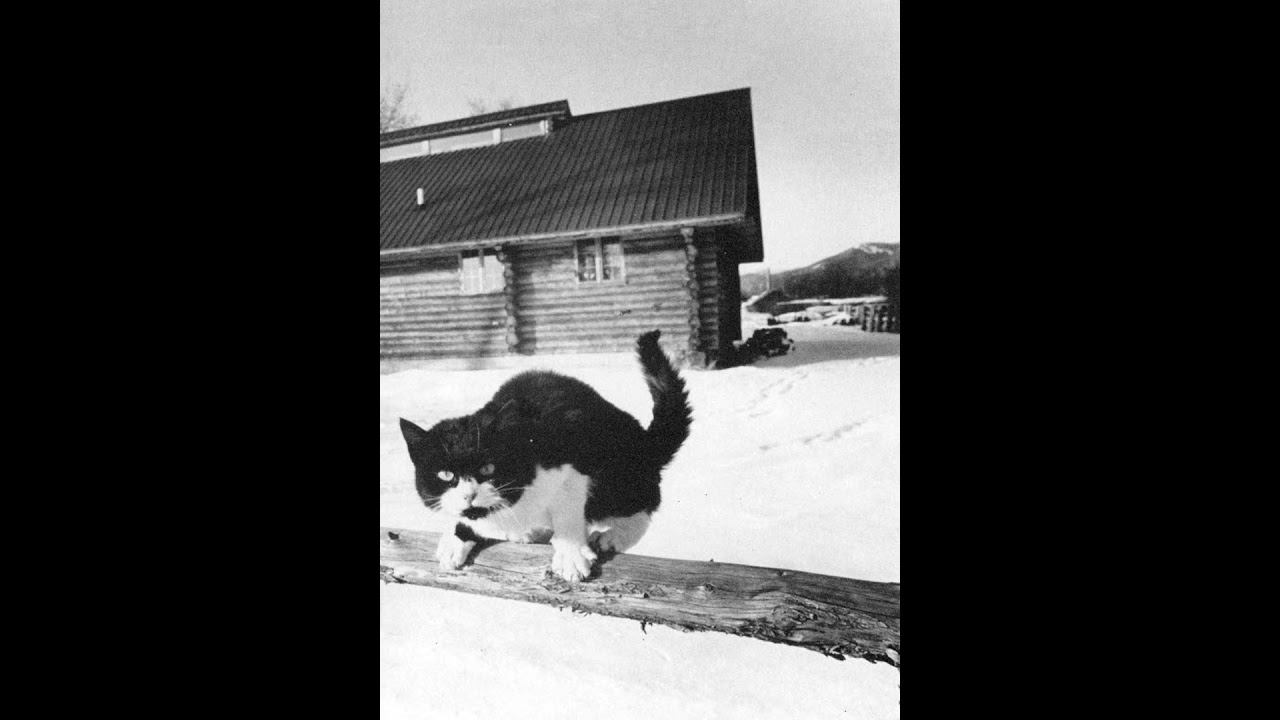 По снежным дорогам Монтаны