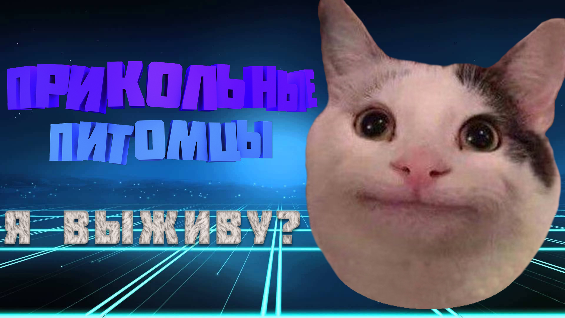 Прикольные домашние питомцы и их игры