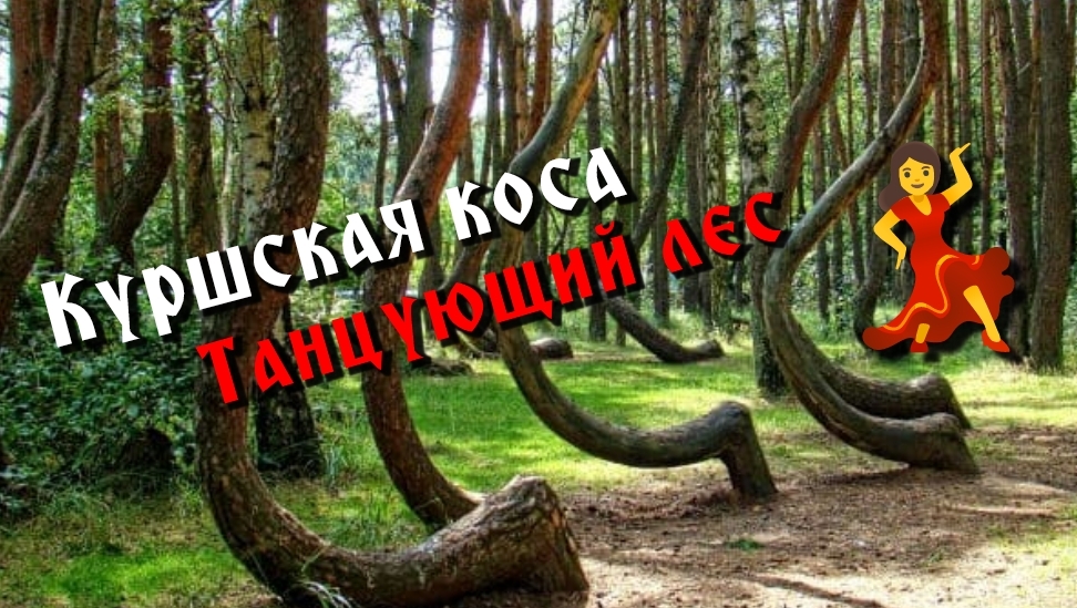 Топ-10 Достопримечательностей Калининградской области.Куршская Коса.