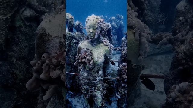 VID_20221223_223418_871.mp4