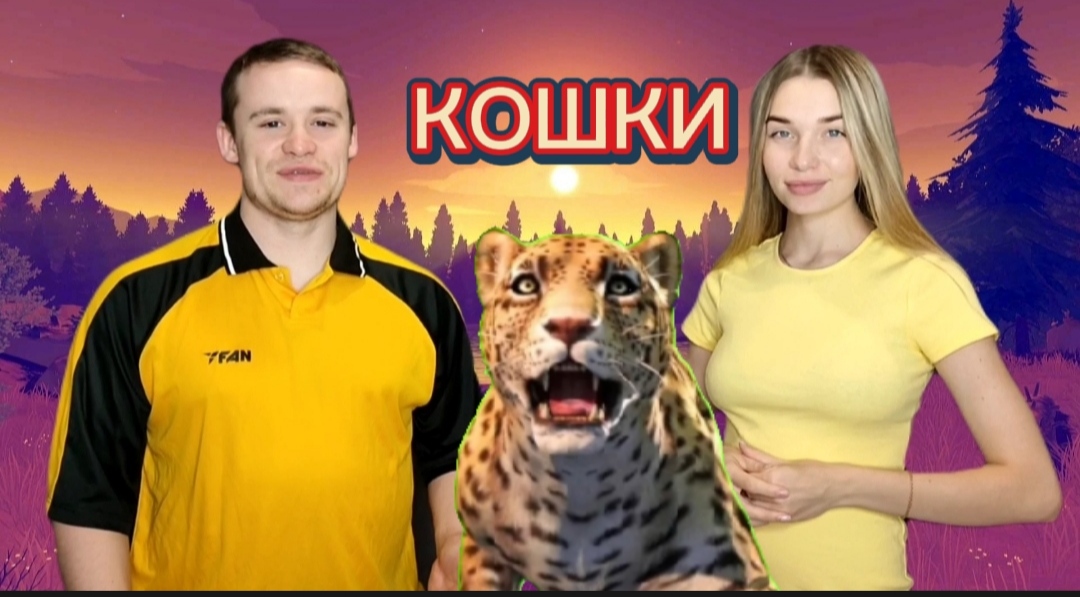 Животный мир. Семейство кошачьи.