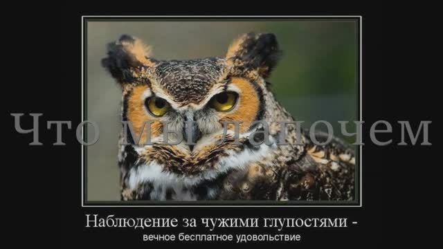 Что мы Лапочем?