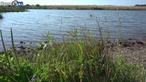 КРАСОТА ПРИРОДЫ 16 08 23
