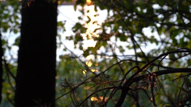 Солнечная дорожка.