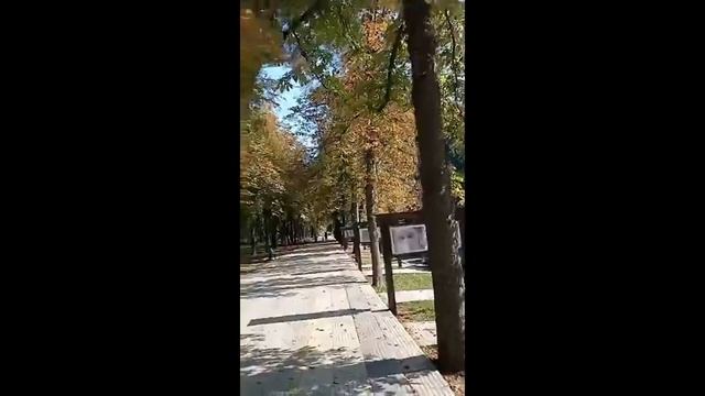 Ковид-шизофрения мэрии Кишинева. Анатолий Кобольский. 16.09.2021г.