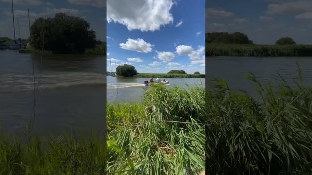 Sib coming through river thurne