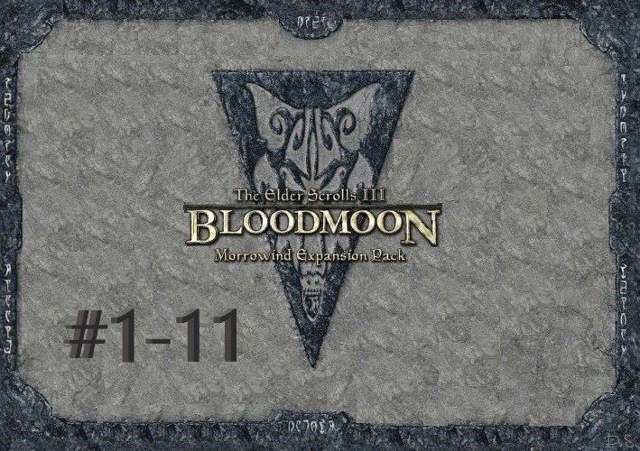 TESIII Bloodmoon #1-11 Заблокированная дверь  (Воронья Скала).mp4