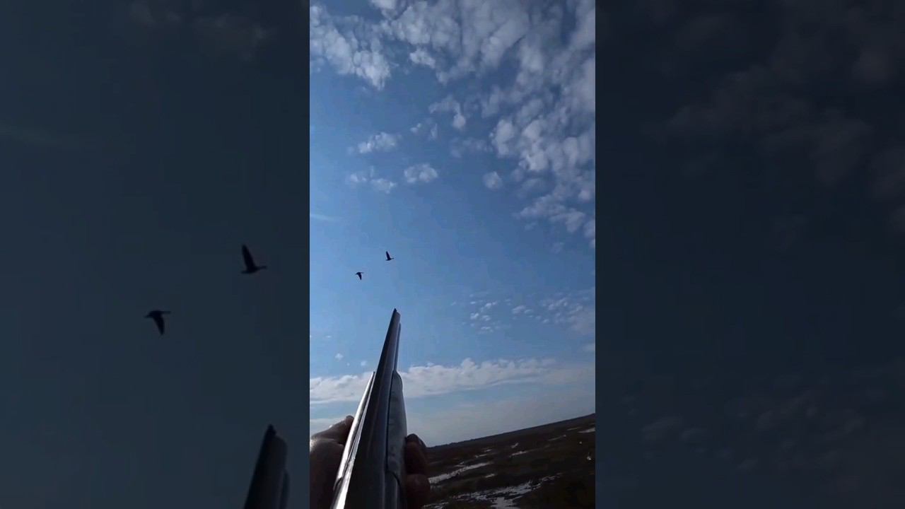 С Охоты На рыбалку на RUTUBE: 157 видео – смотреть онлайн и бесплатно ...