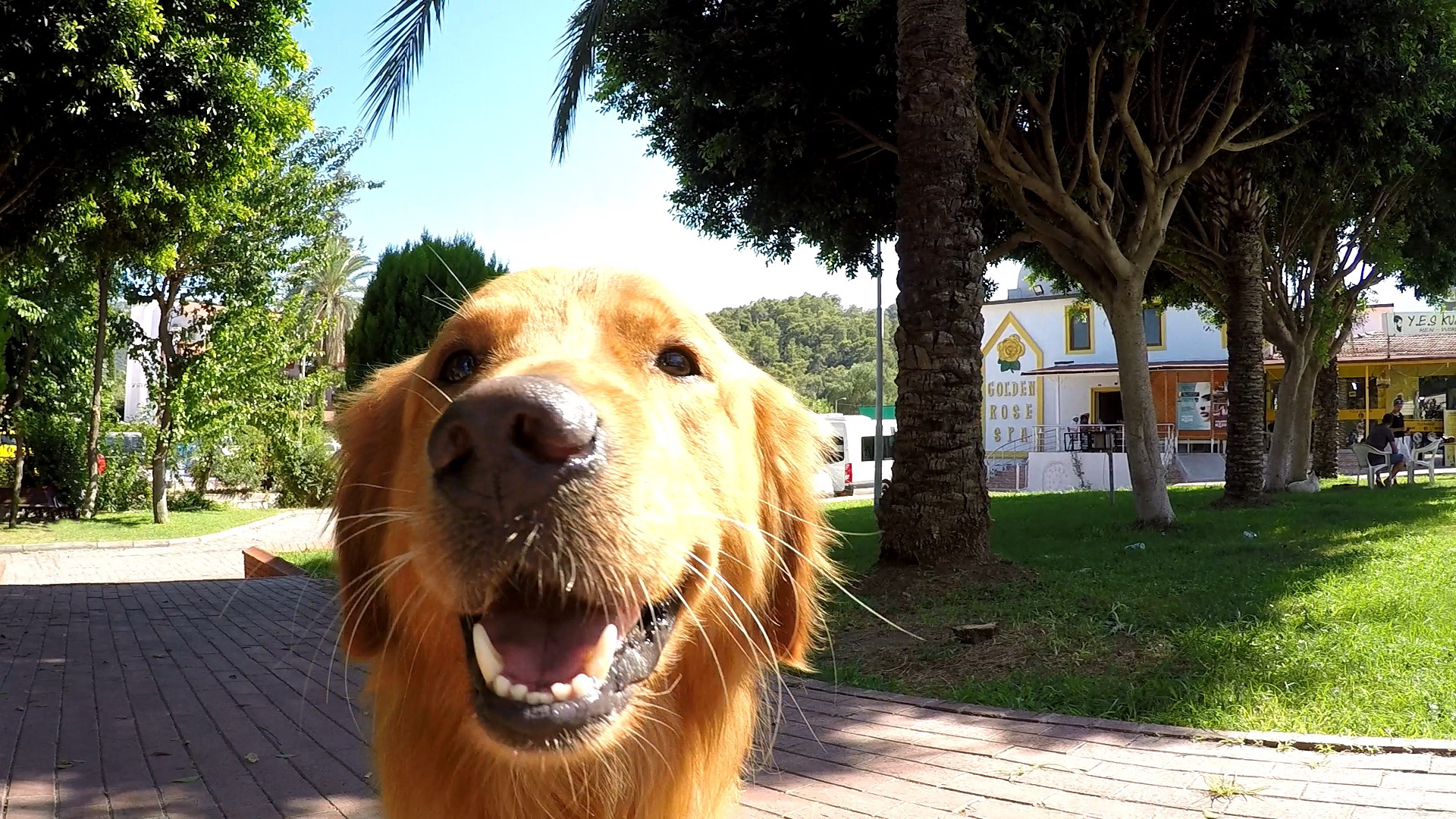 Kemer - Sunny Day