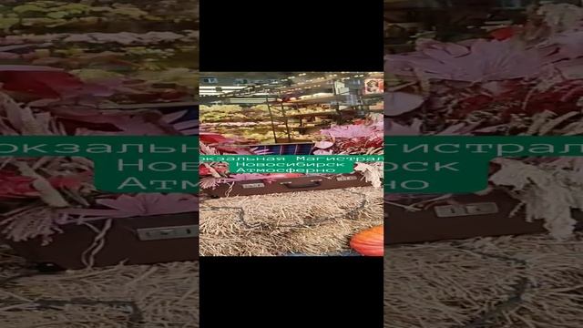 Вокзальная Магистраль Новосибирск
