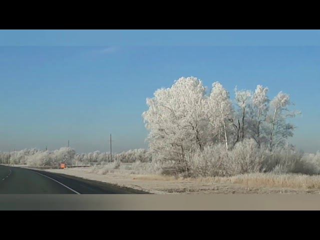 ЕЩЕ  НЕМНОГО , И МЫ У ЦЕЛИ ! ( 11 день )