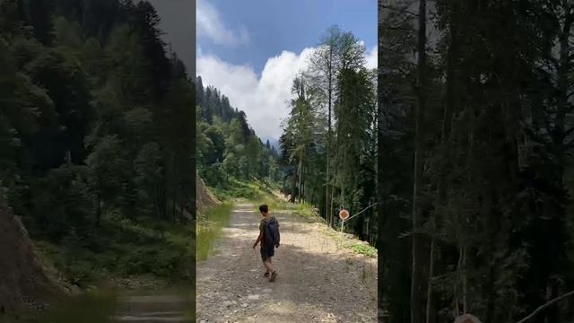 Спуск по технической дороге к водопадам на Менделихе